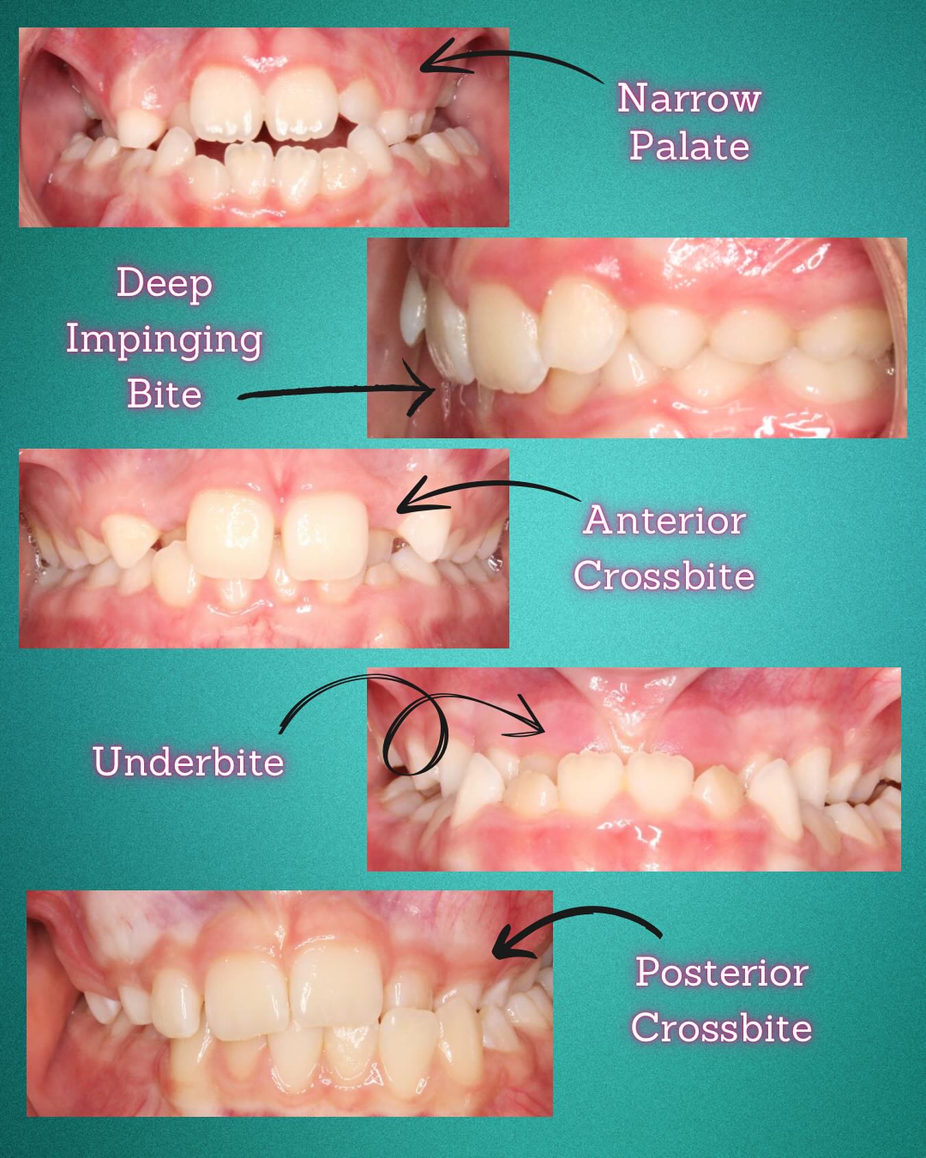 Meet Our Awesome Team - Carroll & Sutton Orthodontics Experienced ...